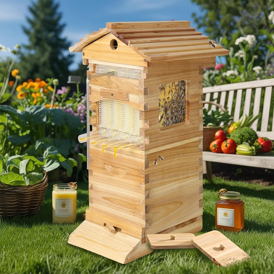 Auto Honey Bee Hives House Boxes MINi Hives With 10x Bee Hive Frames ...