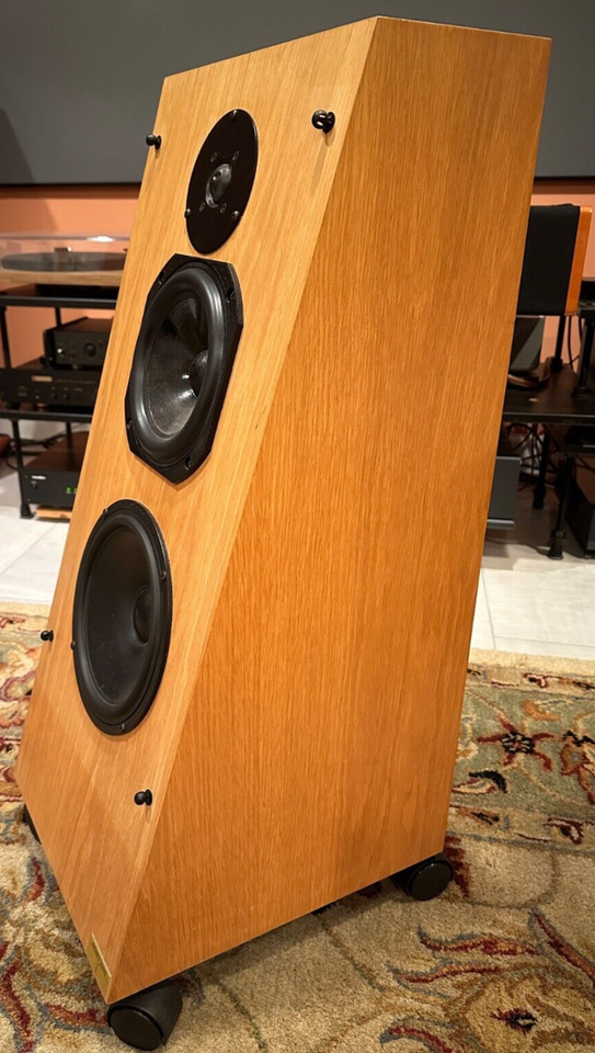 JSE Infinite Slope Model 1 Floor Standing Speakers | eBay