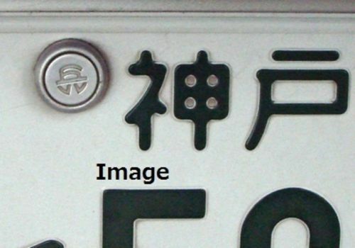 Japan Japanese Original Genuine License Plate Bolts Seal JDM