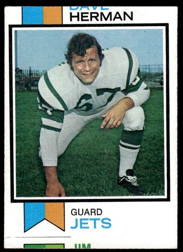 1973 TOPPS DAVE HERMAN 2 NEW YORK JETS #126 | eBay