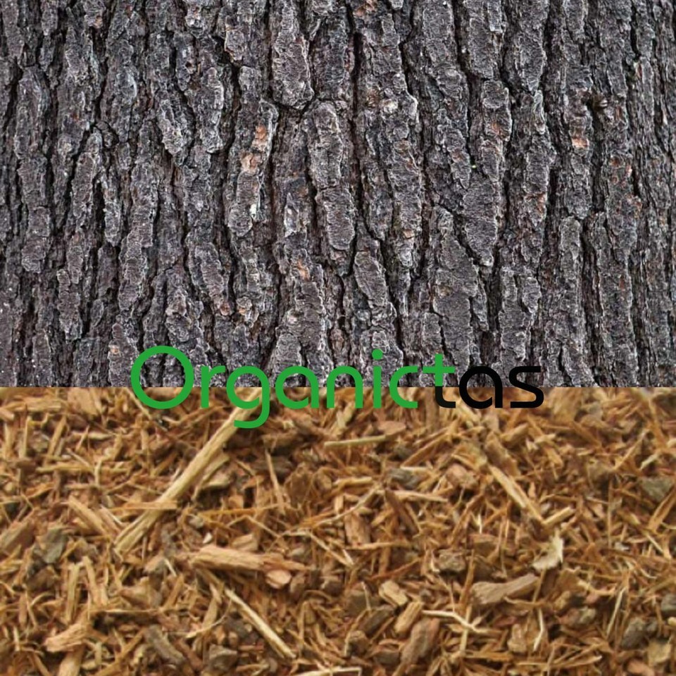 Oak Bark Dried Herb Tea Health Benefits for Gums, Skin, Hair, Digestive ...