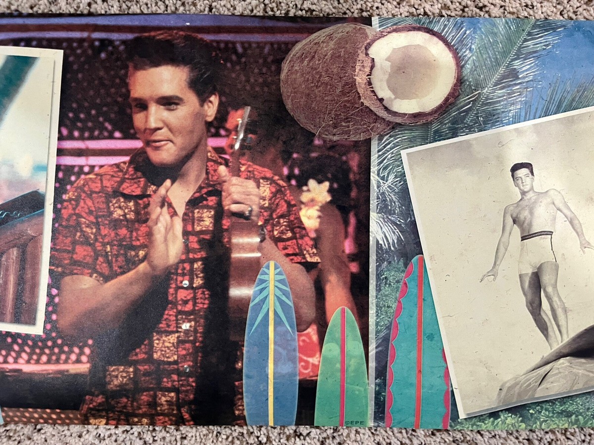 Elvis Presley Wallpaper Border 3992740_1e198.gif 500×500 Pixels