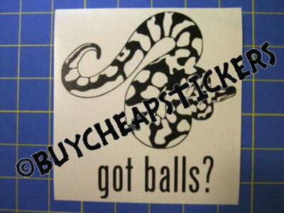 Ball Python Got Balls Decal | eBay