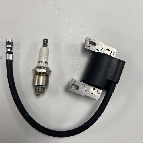 Ignition Coil Spark Plug for Briggs and Stratton 590454 Armature ...