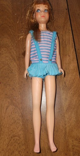 Barbie TNT Skipper Titian With Carry Case 4 Other Skippers Fun Time ...
