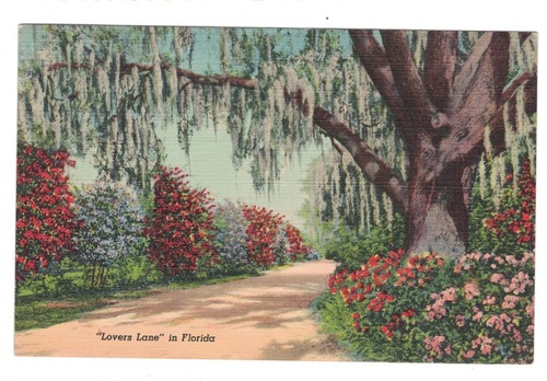 Vintage Linen FL Postcard Lover's Lane Florida 1941 Posted Flowers Path ...