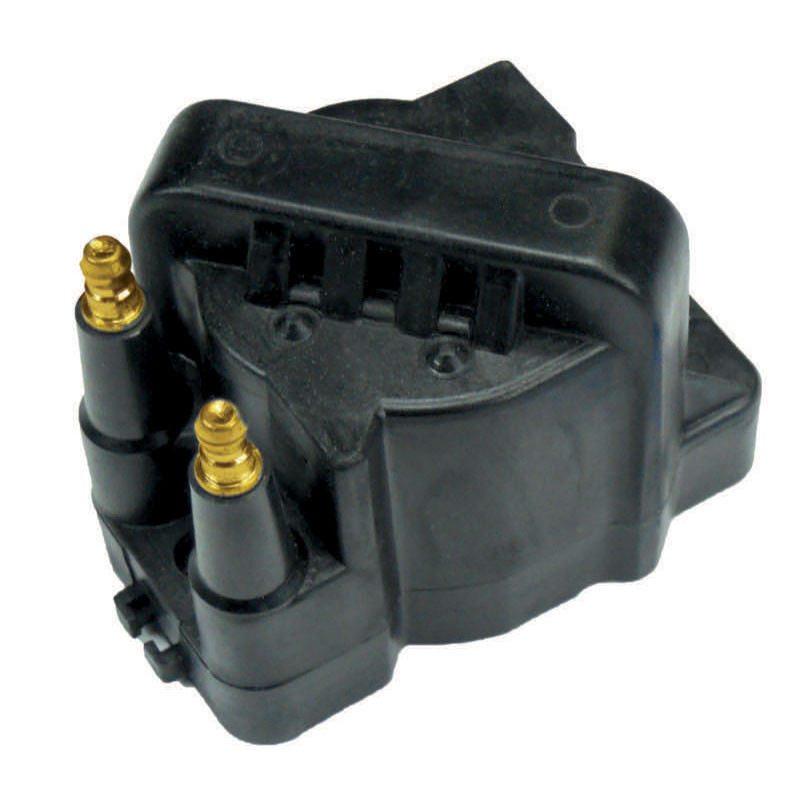 Renegade Ignition Coil 98224-2 Black 44 000 Volt Dis Male Tower for 89 ...
