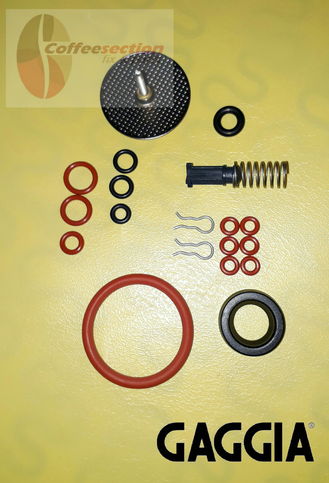 Saeco Gaggia Parts Set - Repair Kit for Titanium, Titanium plus, Magic ...