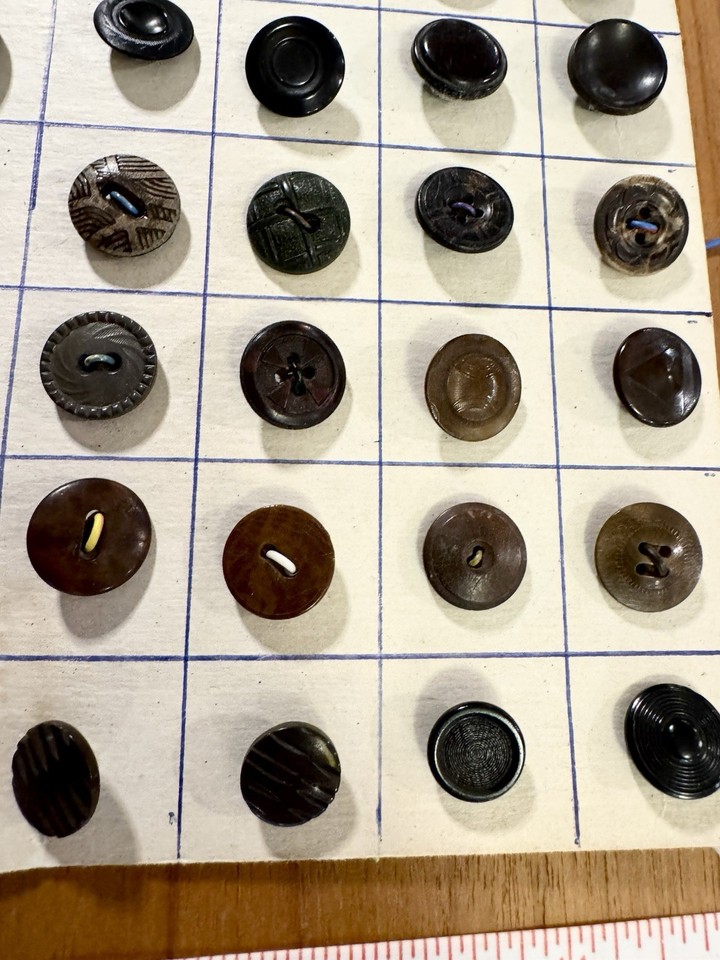 88 Old Antique Vintage Buttons Carved Vegetable Ivory Composite Horn ...