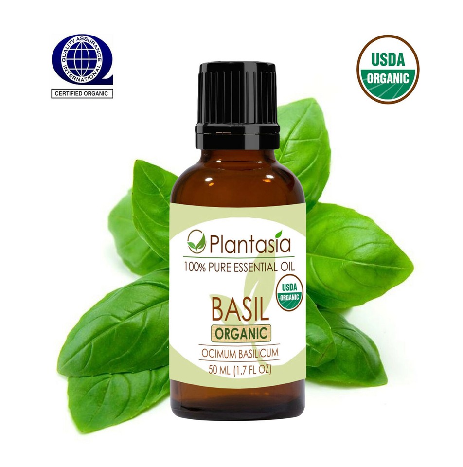 Basil Organic Essential Oil 100% Pure and Natural Therapeutic India by ...