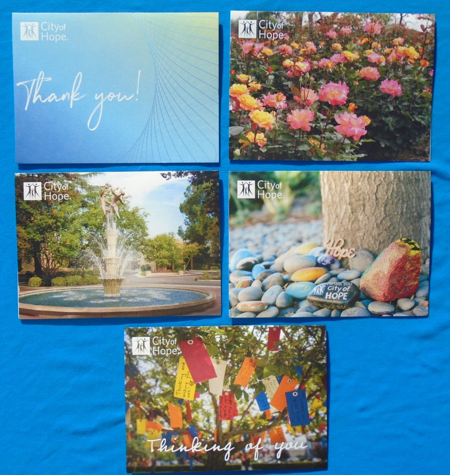 5 City of Hope Blank Cards & Envelopes 5"x7" Nature; Thank You ...