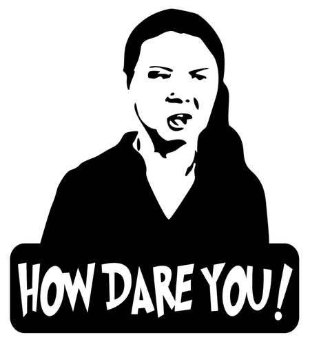 Greta Thunberg HOW DARE YOU! Vinyl Decal, Bumper Sticker, JDM, Funny ...