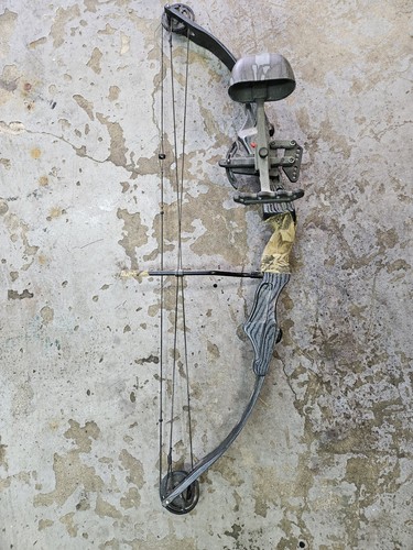 Ben Pearson 'Flame' Compound Bow with Case and Arrows | eBay
