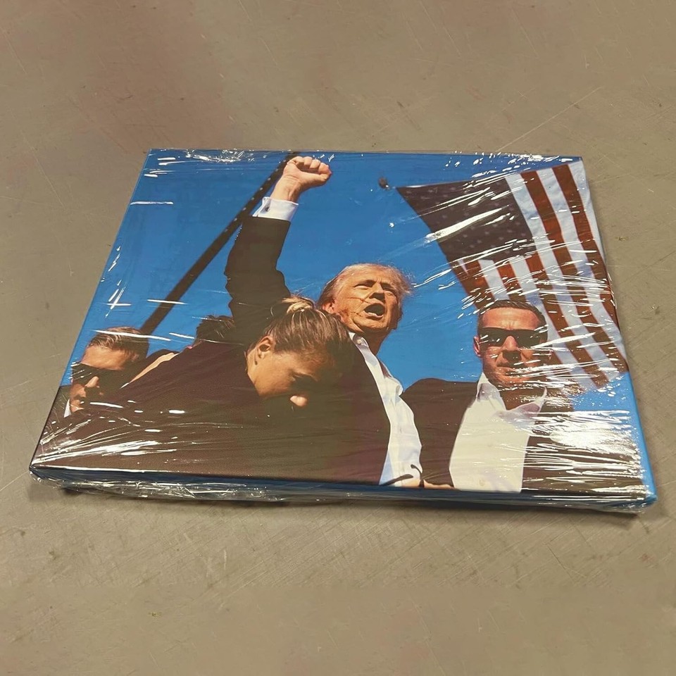 Donald Trump Assassination Attempt Keep Fighting Picture 2024 on Canvas ...