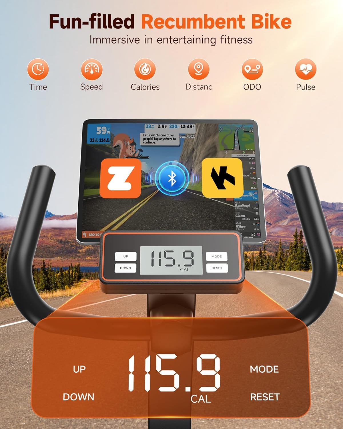 Niceday Recumbent Exercise Bike, Recumbent Bike for Home, Recumbent ...