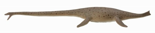 NEW CollectA 88760 Thalassomedon Dinosaur 1:40 Deluxe Scale Model ...