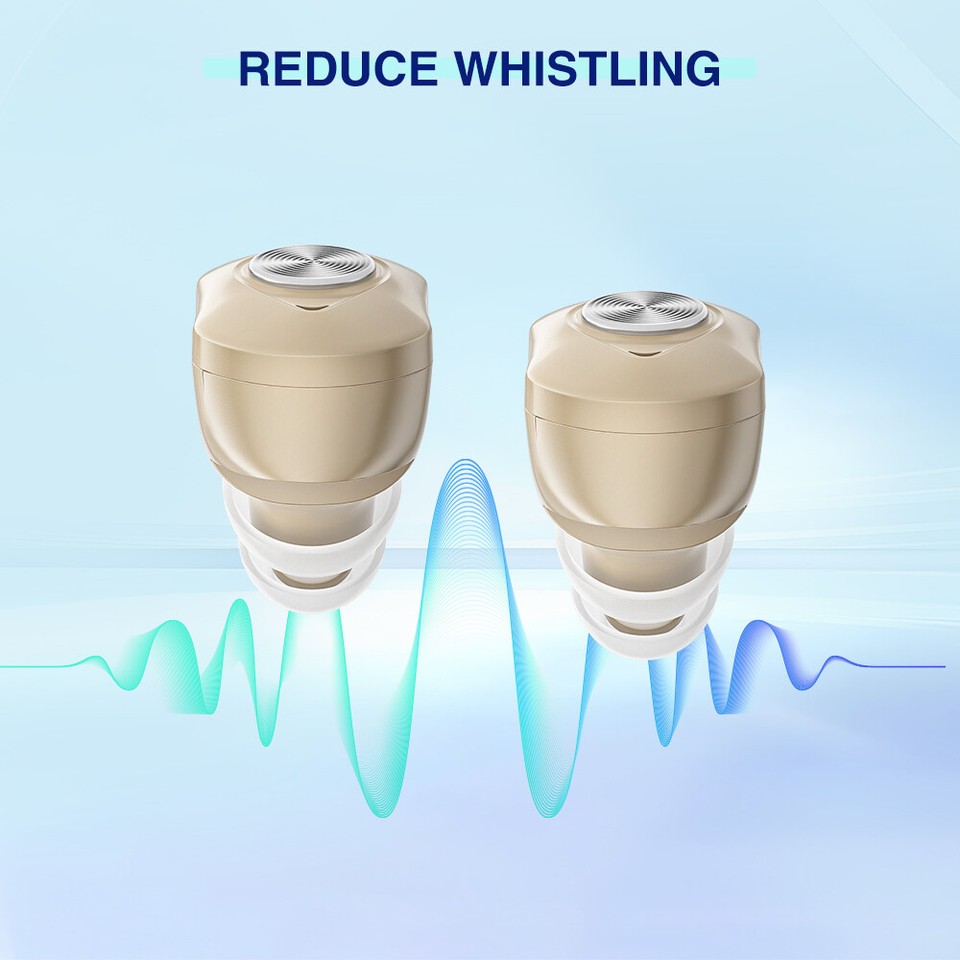 Digital Hearing Aids Invisible ITE Severe Loss Ear Sound Amplifier ...