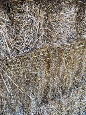 Small Conventional Hay Bales x 300 bales - 2024 | eBay UK