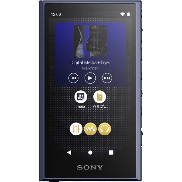 Sony Walkman NW-A307 64GB Hi-Res Digital Audio Player - Blue for sale ...