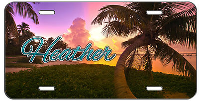 CUSTOM PERSONALIZED LICENSE PLATE BEACH PALM TREE AUTO TAG | eBay