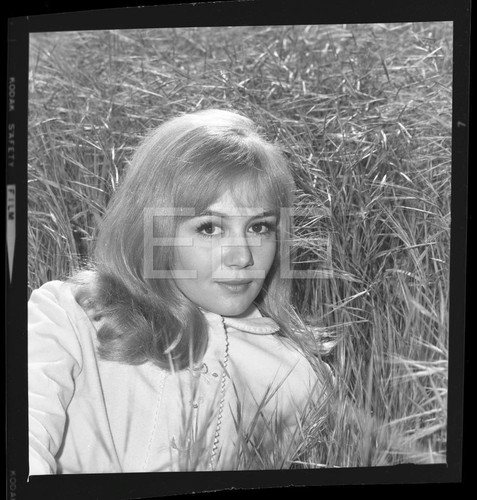 1970 Roxanne Albee Movie Actress by Harry Langdon Negative w/rights U48 ...