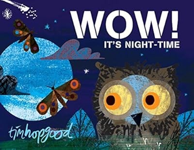 WOW! Its Night-time, Hopgood, Tim, Used; Good Book | eBay UK