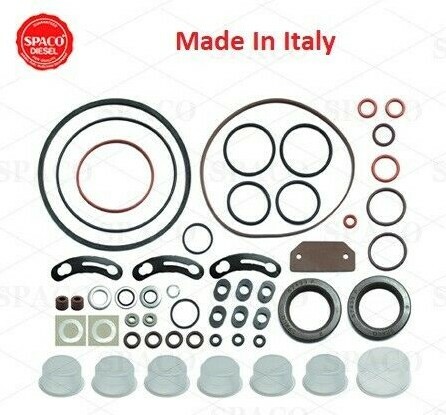 Stanadyne Roosa Master Diesel Injection Pump Seal Kit 24372 Fits DM2 ...