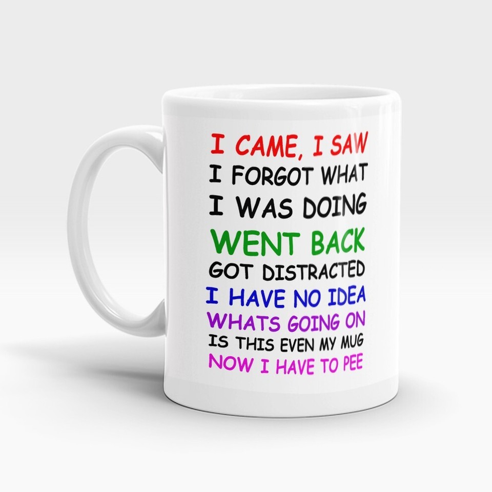 Awesome I CAME I SAW I FORGOT Funny Novelty Birthday Gift Coffee Mug | eBay