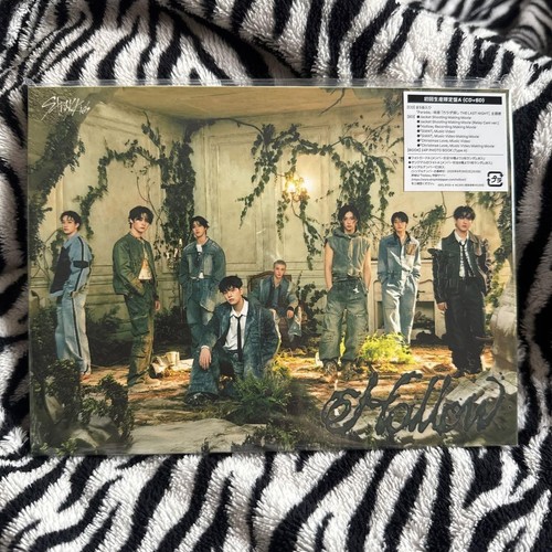 Stray Kids Hollow First Limited Edition A Album CD Serial Number ...