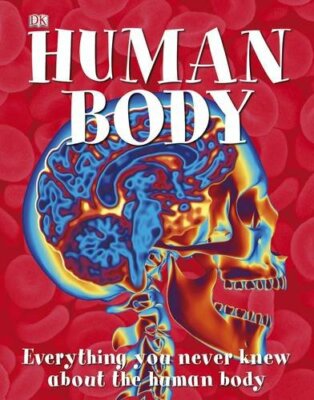 Amazing Human Body (Dk) by DK Hardback Book The Fast Free Shipping | eBay