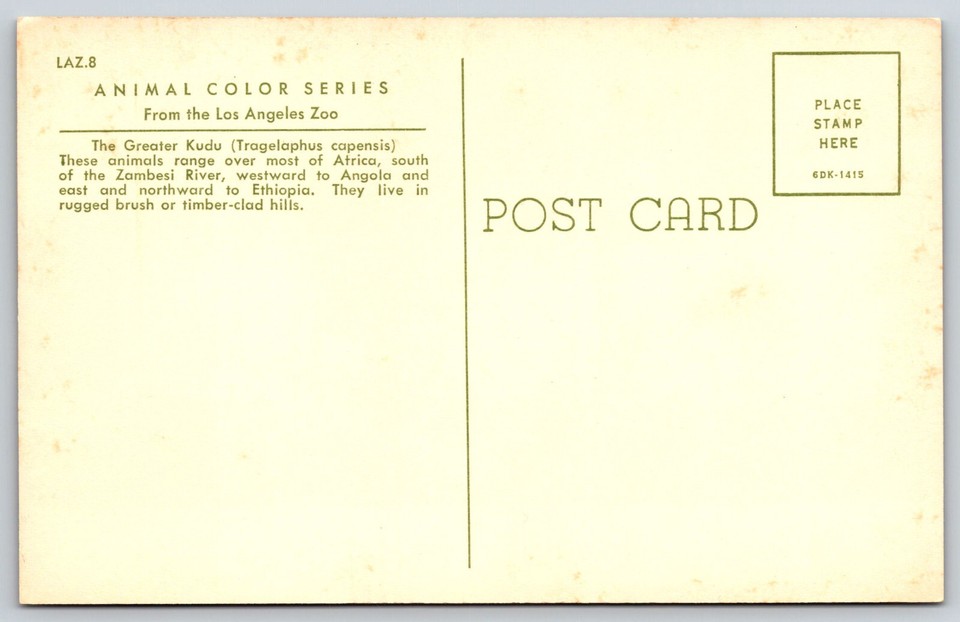 Postcard The Greater Kandu Los Angeles Zoo Animal Color Series Los ...