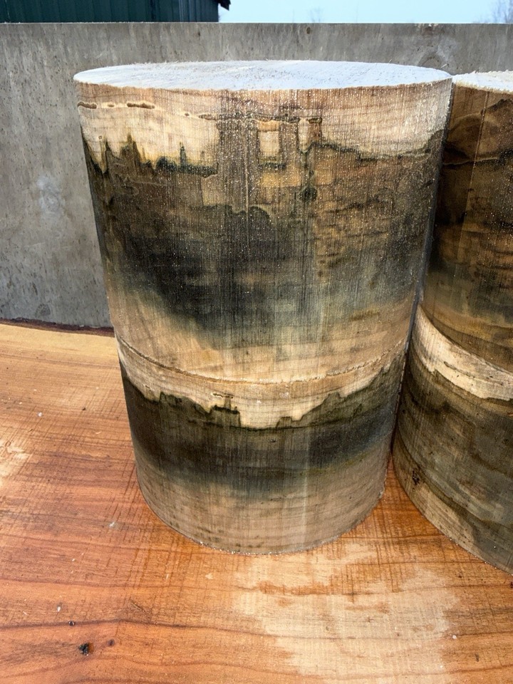 1Pc. Unique Color Premium Ambrosia Maple Stump turning pc 6 x 4" Exact ...