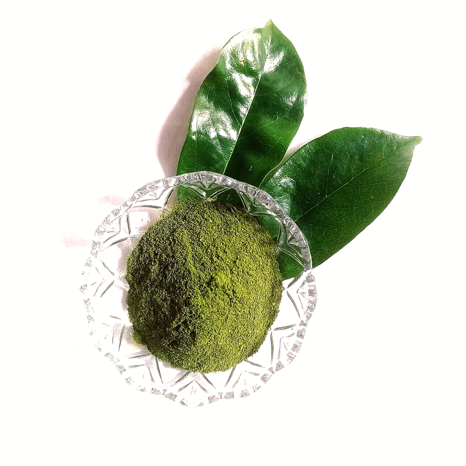 SOURSOP LEAF powder Guanabana Graviola Cell health 25g New | eBay
