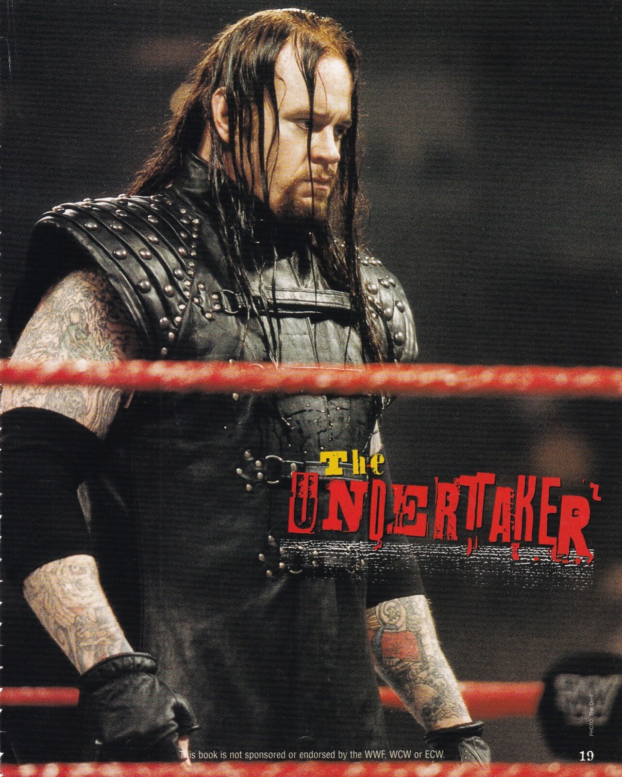 The Undertaker And Kane Wwf