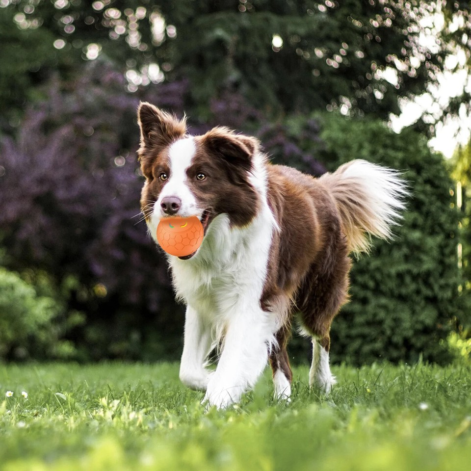 USB Electronic Smart Dog Toy Ball Interactive Pet Automatic Moving Ball ...
