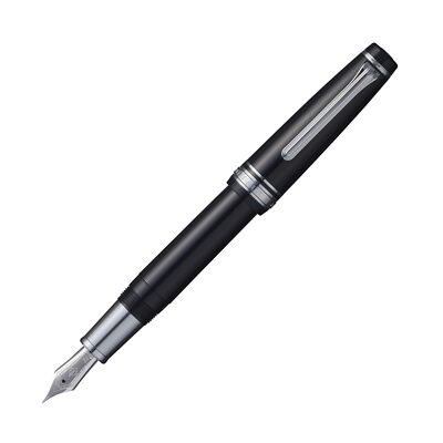 Sailor Pro Gear Regular Fountain Pen in Ginza Silver - 21kt Gold Fine ...