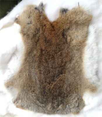 1x Caramel Real Rabbit Fur Pelt 100% Genuine Rabbit Fur Skin For Pet ...