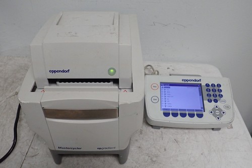Eppendorf 5341 Mastercycler epGradient Thermal Cycler with 6320 Control ...