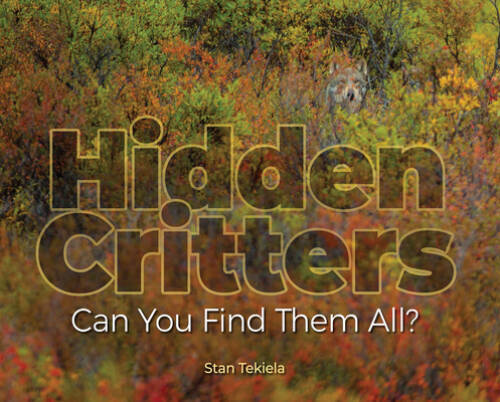 Hidden Critters: Can You Find Them All (Wildlife Picture Books) - GOOD ...
