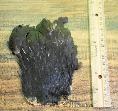 Lot 16, India Hen Neck Cape Feathers for Fly Tying | eBay