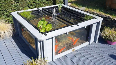 Big Fish Pond Cover Fish Big Fish Little Pond By Mike Savad