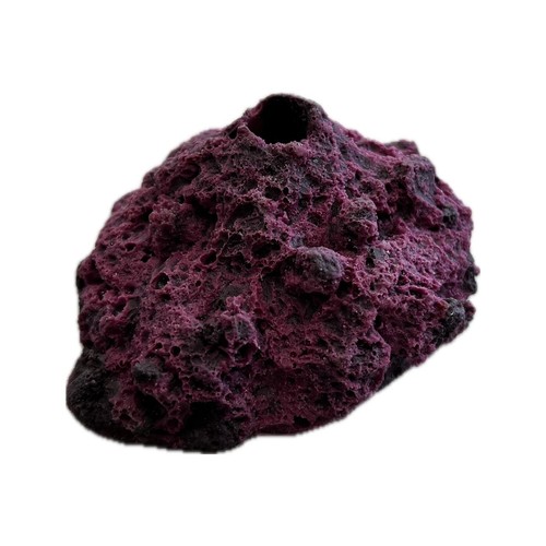 SANDBED 1 Hole Frag Rack/Rock for Live Coral Plug Ons | eBay
