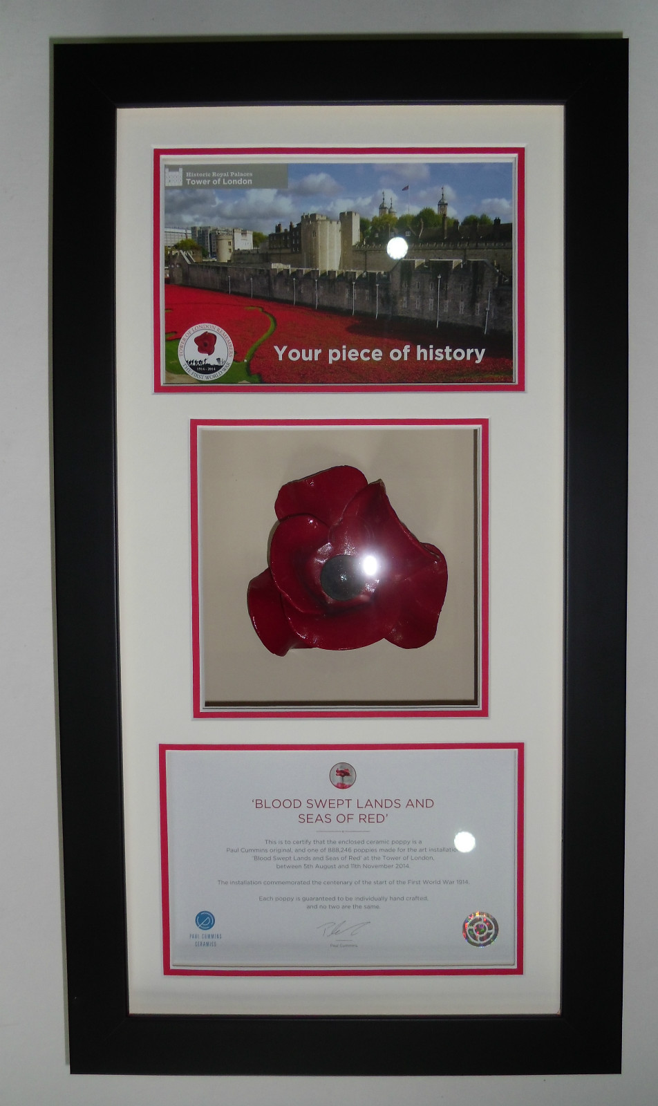 POPPY DISPLAY FRAME FOR TOWER OF LONDON WW1 CERAMIC POPPY | eBay UK