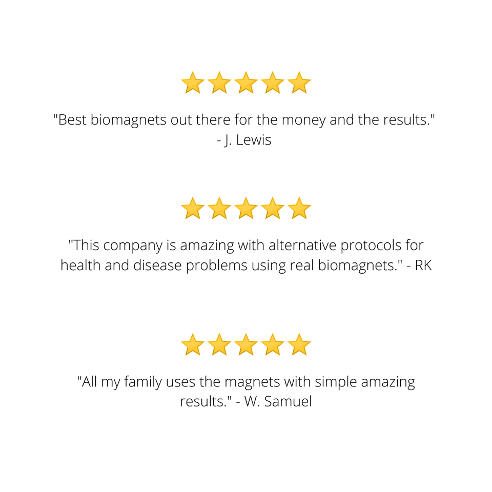 ORGAN THERAPY Health Magnets Liver Kidneys Brain Magnetic Energy ...