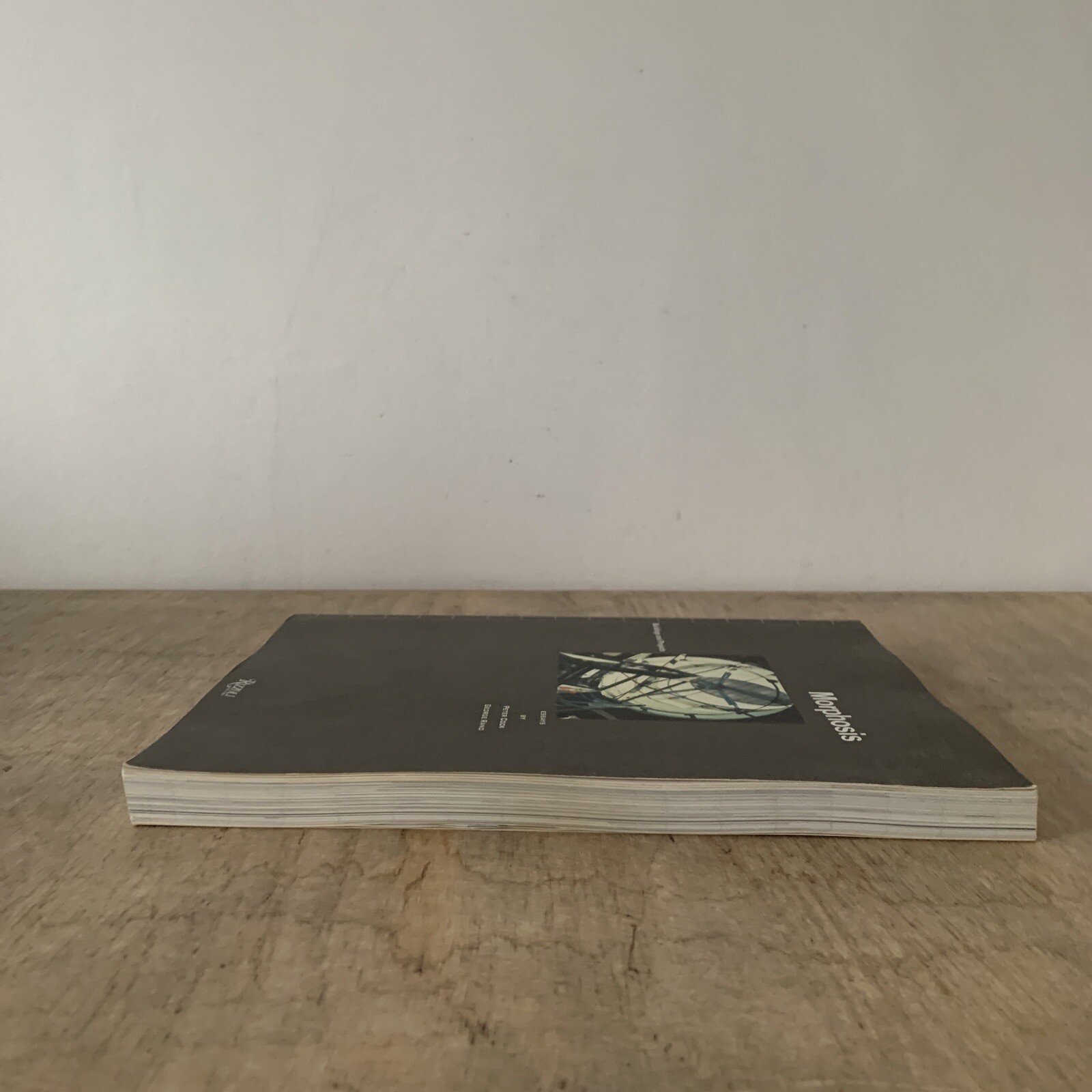 Morphosis Buildings and Projects Peter Cook George Rand Rizzoli 1989 ...