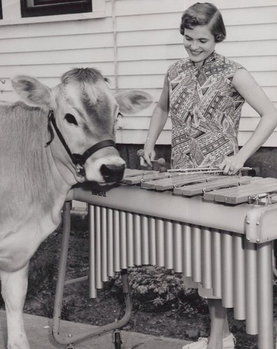 1950s Sonya Sharpe Dairy Princess Shelly Minnesota Original Rare Press ...