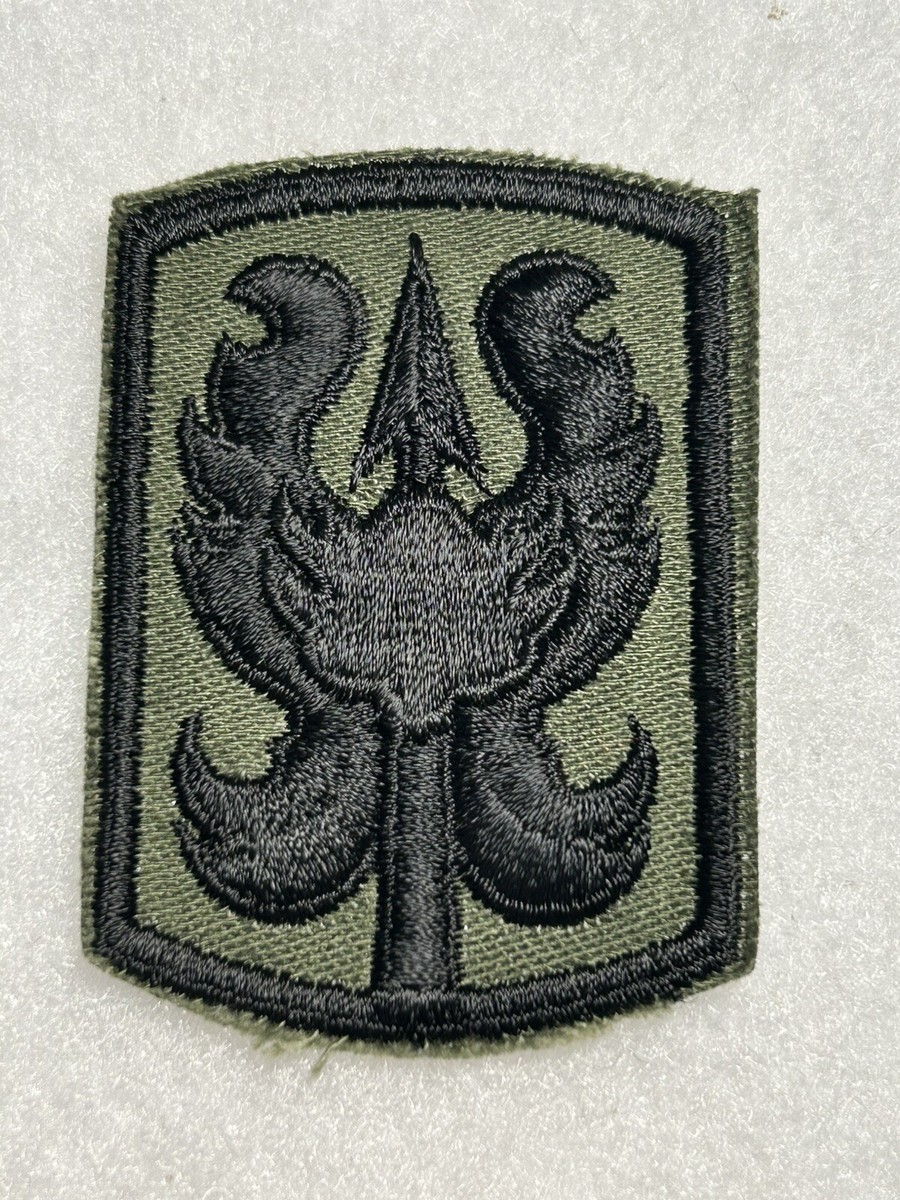 Light Infantry Brigade In Vietnam Original Vietnam Era US Made Subdued