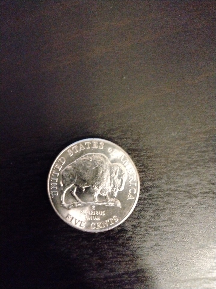 2005-D Speared Bison Jefferson Nickel Error Coin | eBay