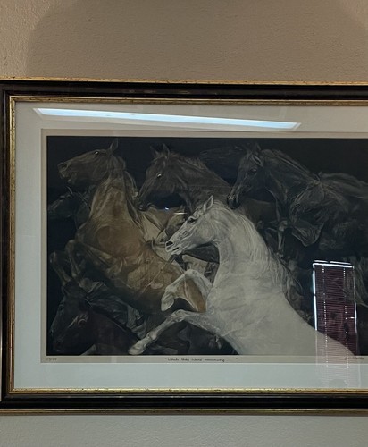 G.H Rothe "While They Were Running" Horse Mezzotint Etching Hand Signed ...