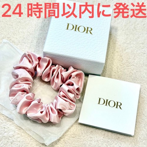 Christian Dior Novelty New Satin Scrunchie Pink Hair Elastic Hair ...